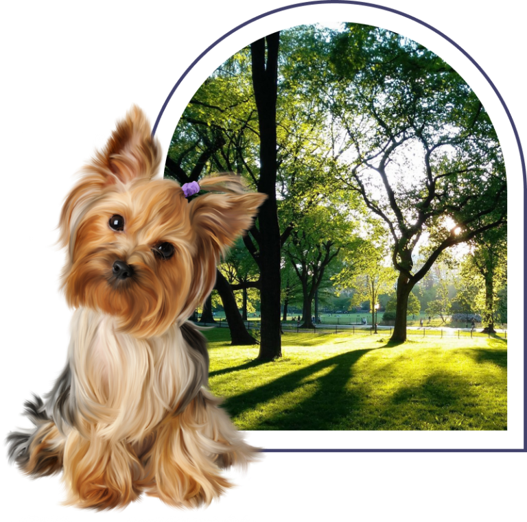 Home - Dean Insurance